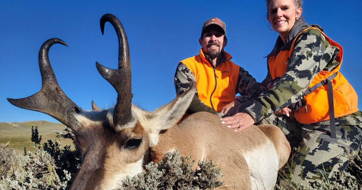 Pronghorn Antelope Trophy Room