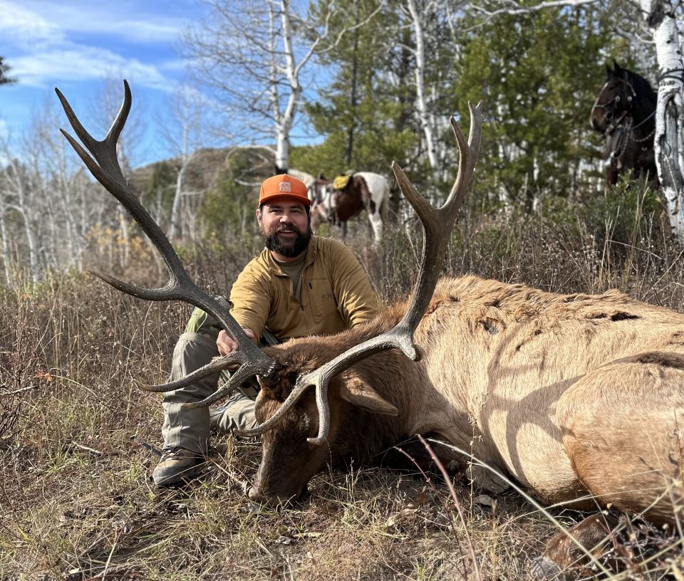 Hunt 7 Trophy Room - Wyoming Mule Deer, Elk & Moose